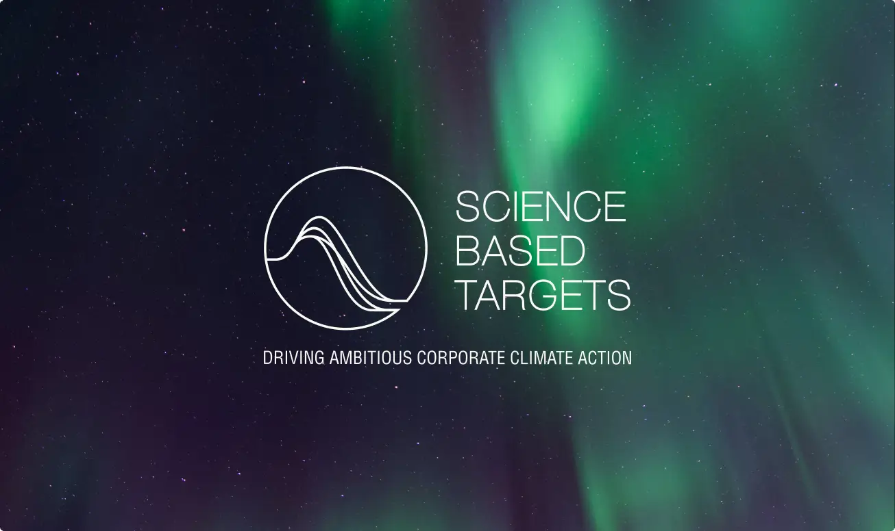 Affordable Sustainable Aviation Fuel | Goodwings